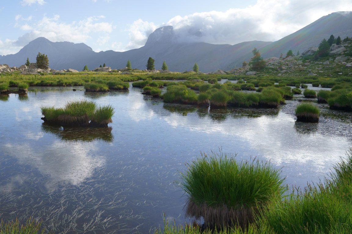 Devotio Moderna 2 – Jadislherbe